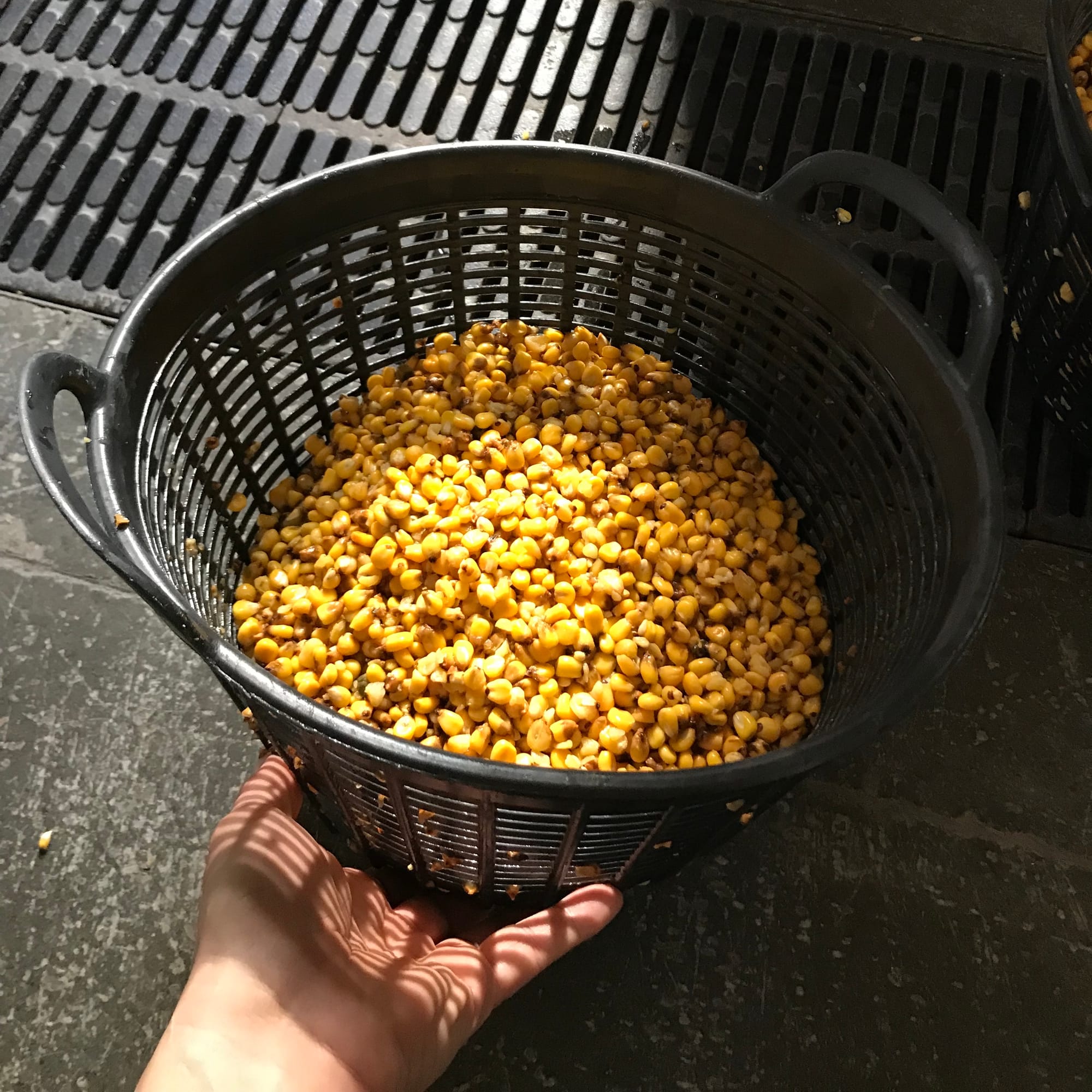 The Science of Nixtamalization